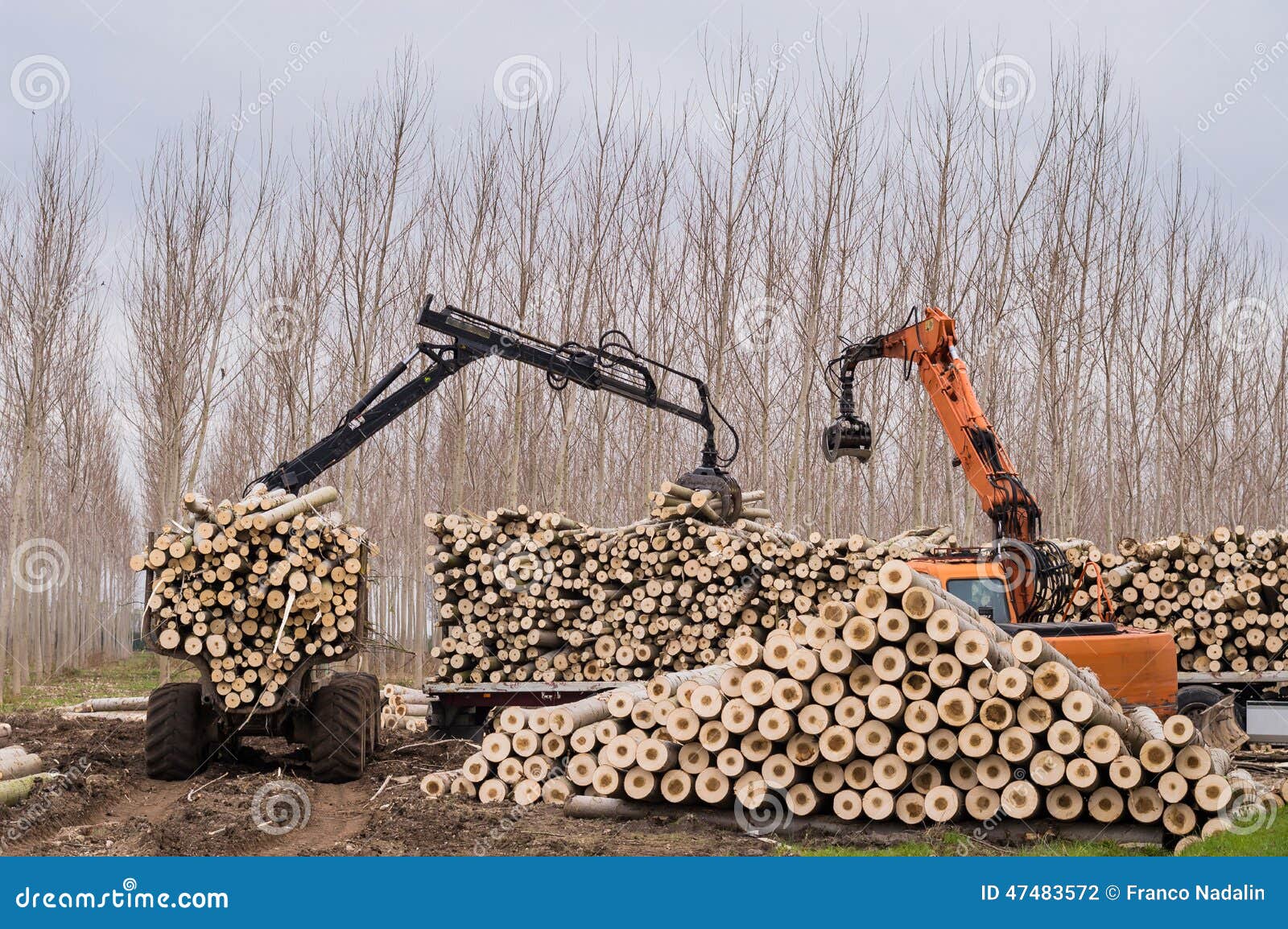 Cranes for Logs and Woodpiles Stock Photo - Image of operator, loading ...