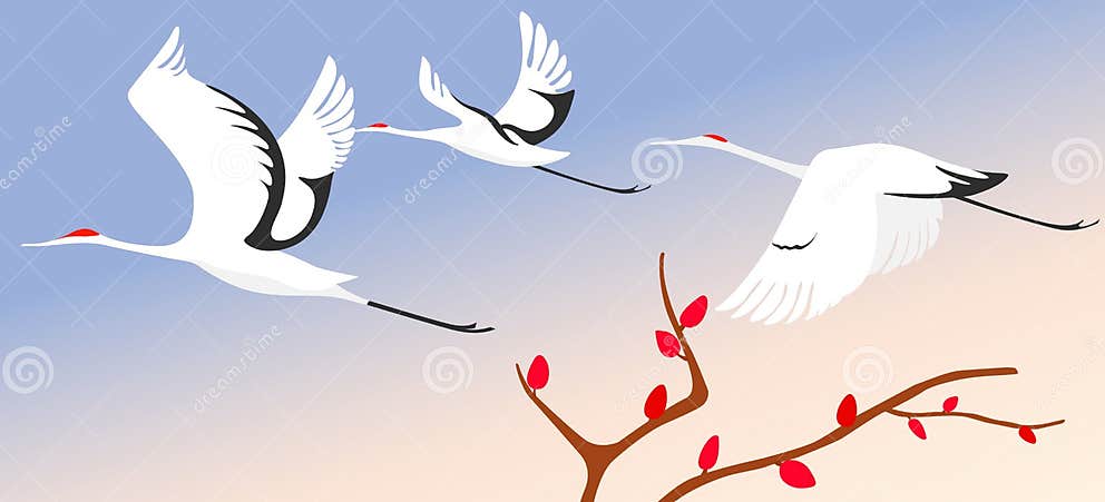 Cranes in spring stock illustration. Illustration of common - 24831441