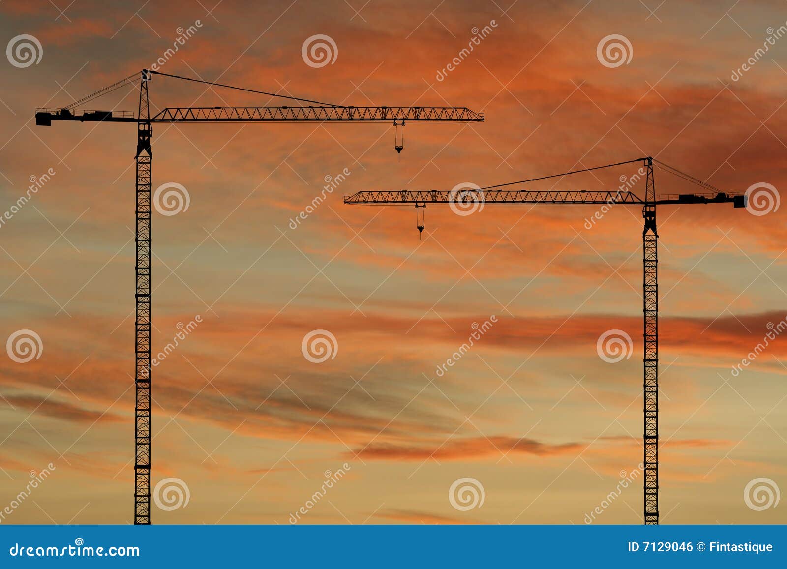 Cranes at sunset stock illustration. Illustration of dawn - 7129046