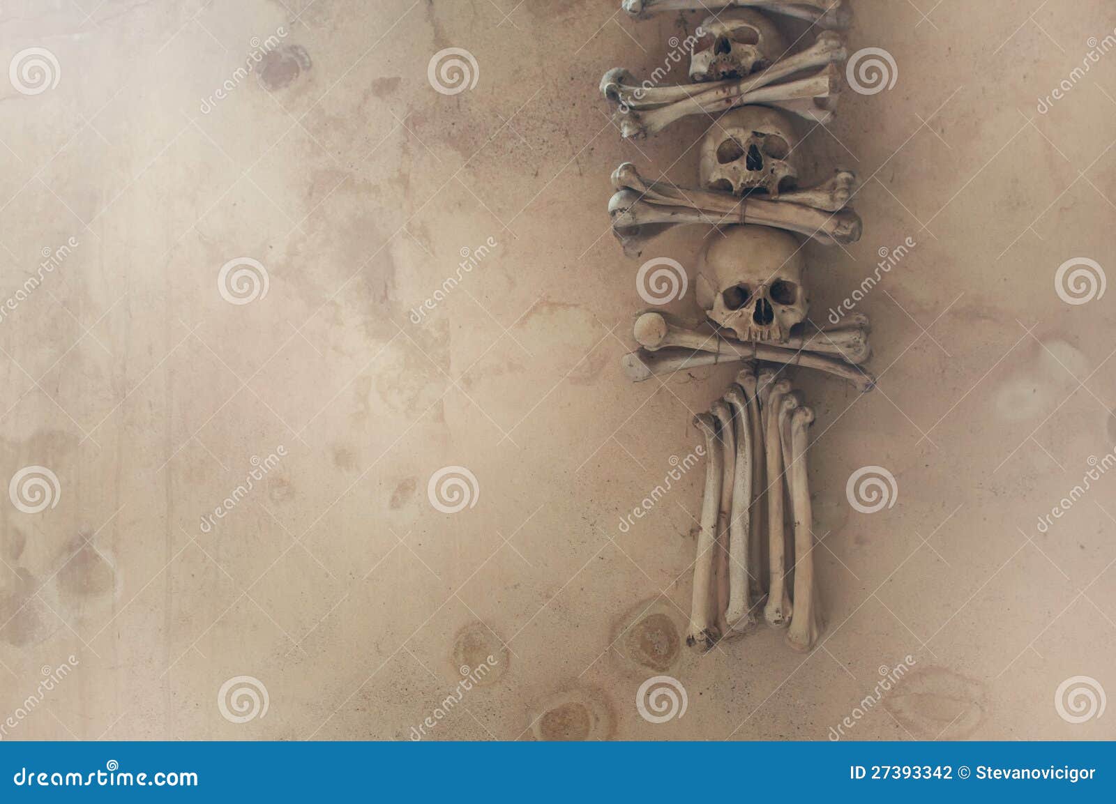 Crani umani fotografia stock. Immagine di repubblica - 27393342