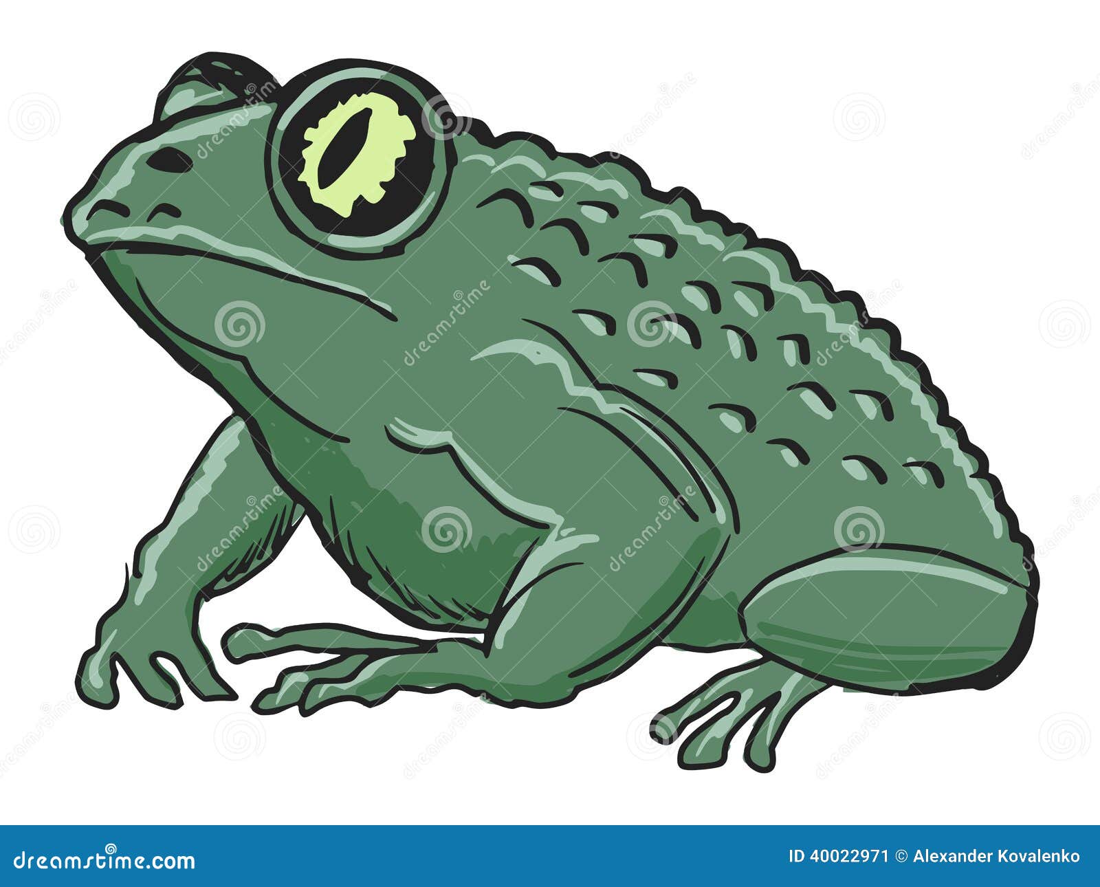 Crapaud illustration de vecteur. Illustration du peau - 40022971
