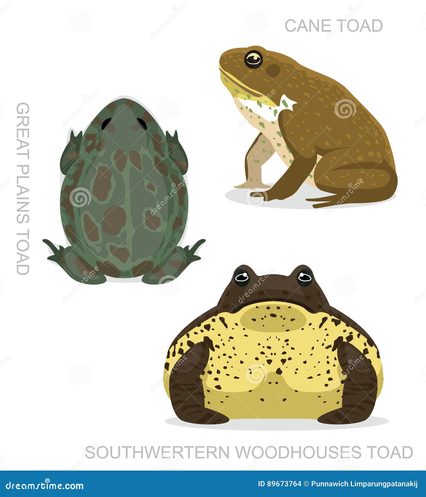 Crapaud Cane Set Cartoon Vector Illustration Illustration de Vecteur ...