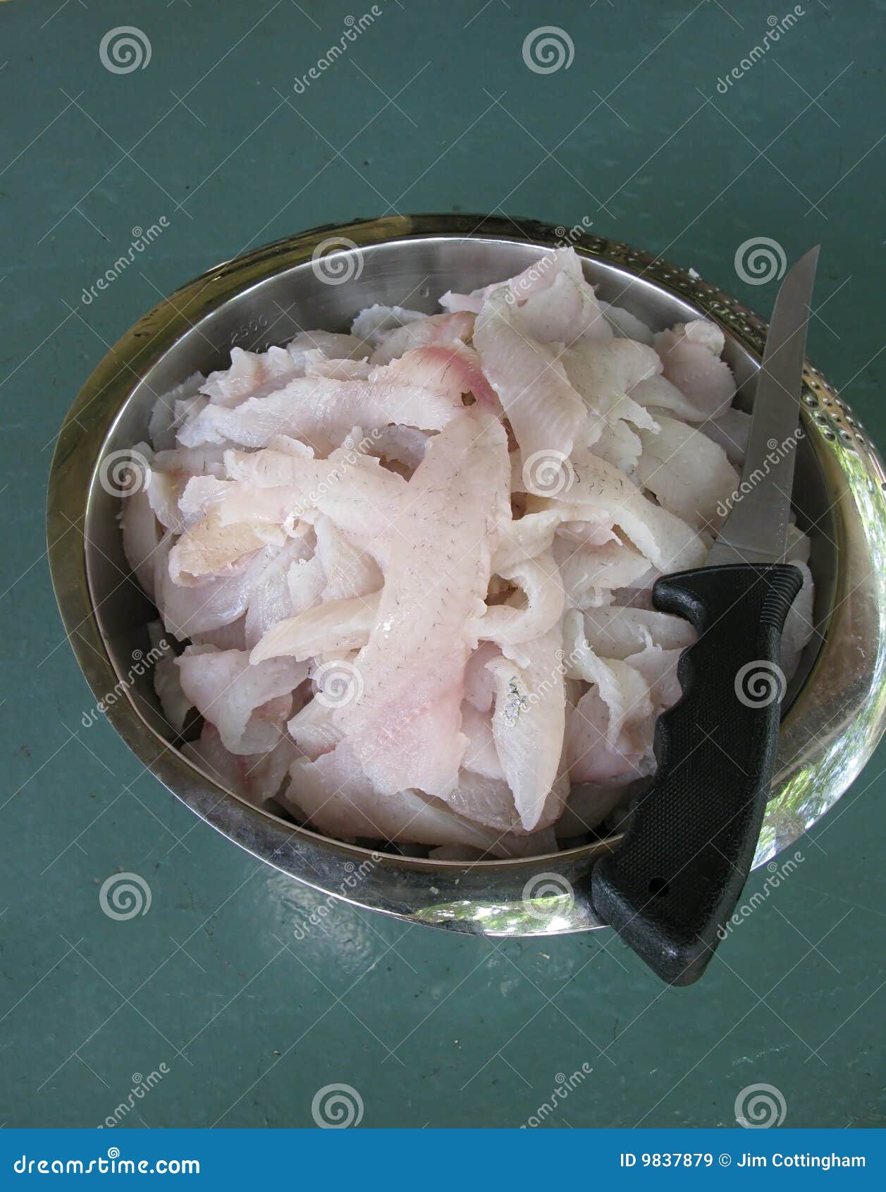 Crappie Fillets stock image. Image of narrow, angling - 9837879