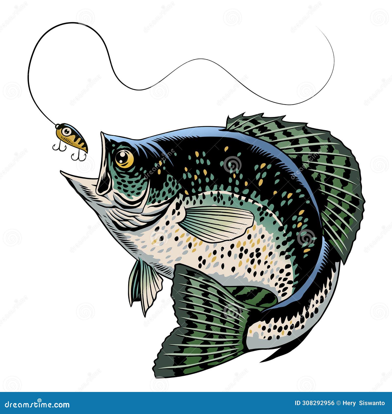Crappie Fish Catching the Fishing Lure Stock Vector - Illustration of ...