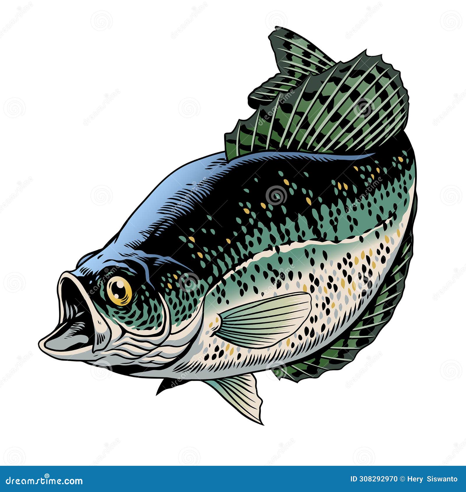 Crappie Fish Hand Drawn Vintage Vector | CartoonDealer.com #339437616