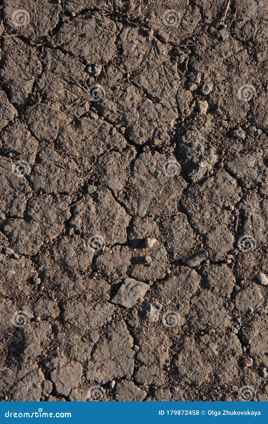 Craquelure on the Ground. Cracked Earth Stock Photo - Image of parched ...