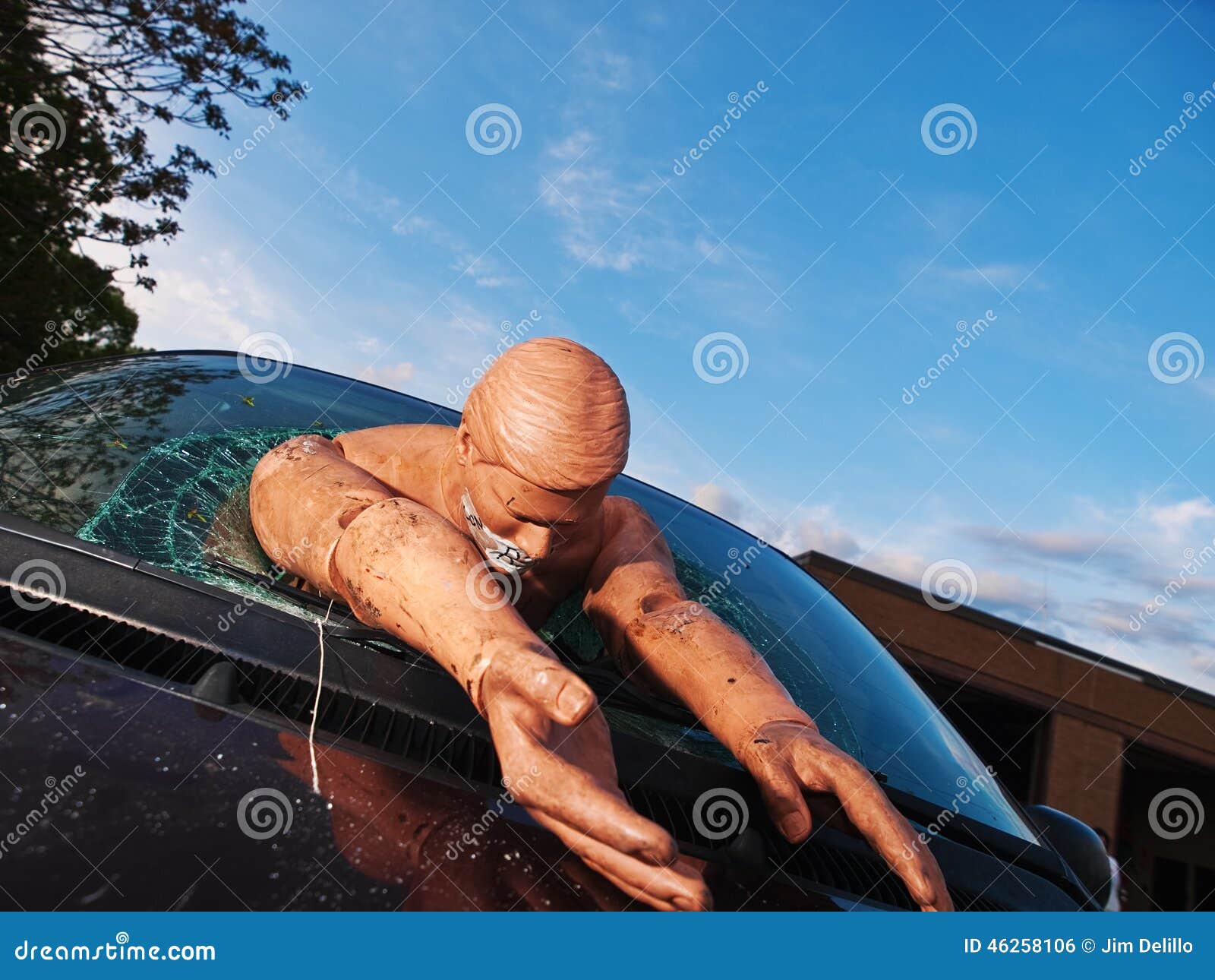 Crash Dummy through Winshield Stock Photo - Image of rescue, department ...