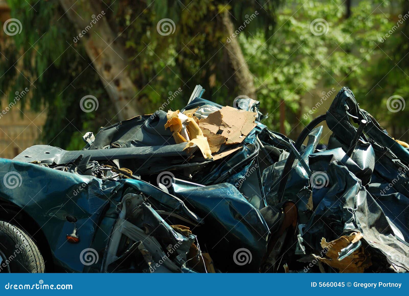 Crashed Car And Trees Picture. Image: 5660045