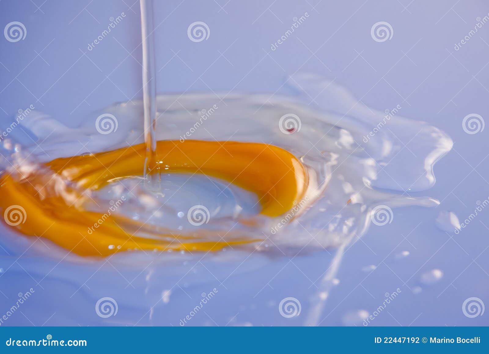 Crashed egg stock photo. Image of food, nature, drop - 22447192
