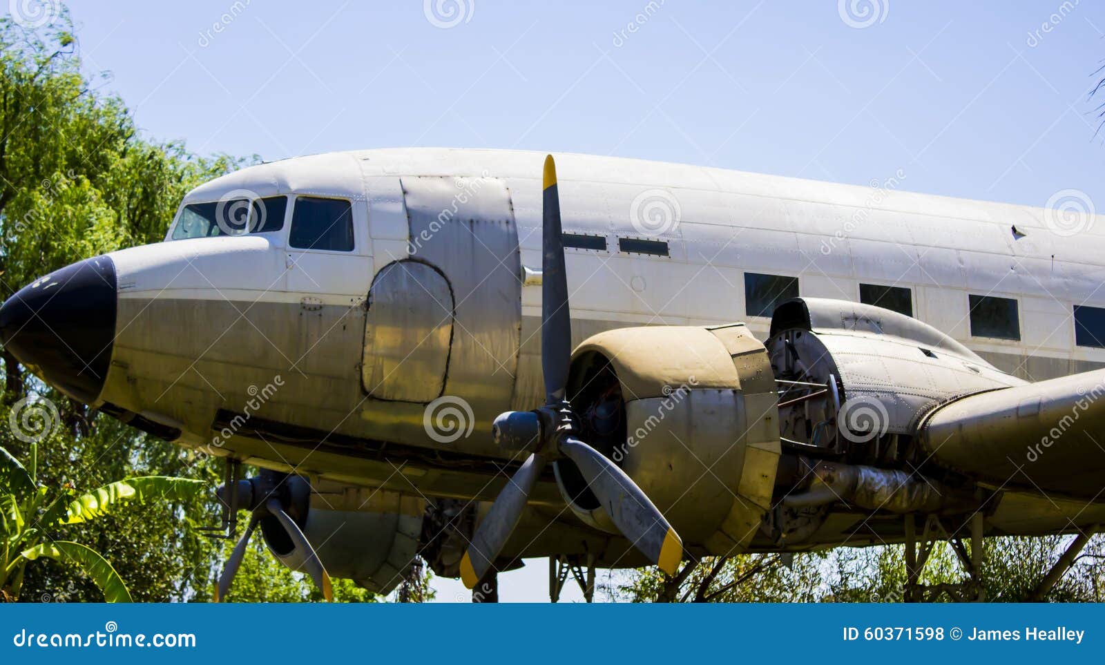 Crashed Plane Stuck in Tree Stock Photo - Image of engine, runaway ...