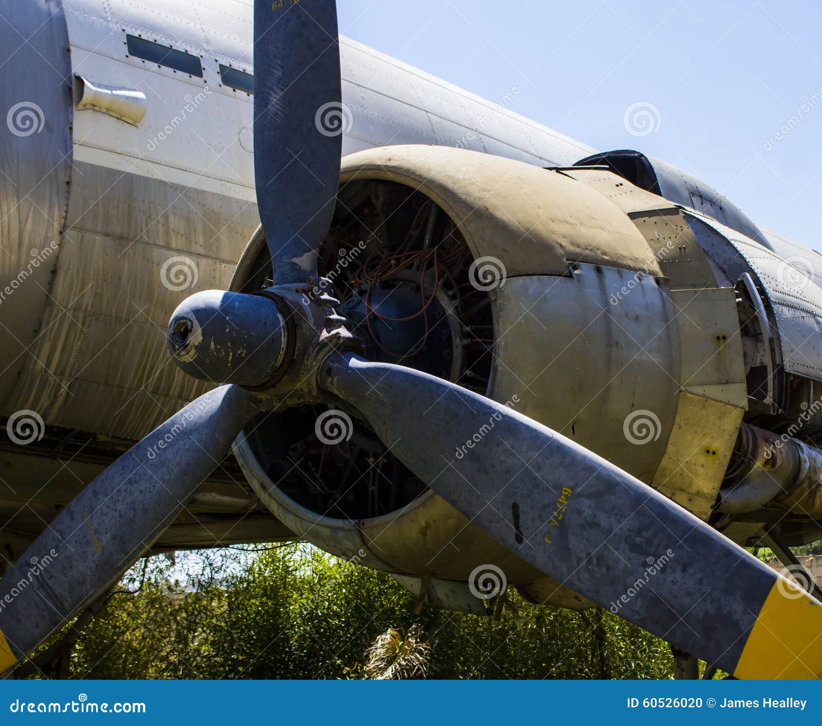 Crashed Plane Stuck in Tree Stock Photo - Image of trees, airplane ...