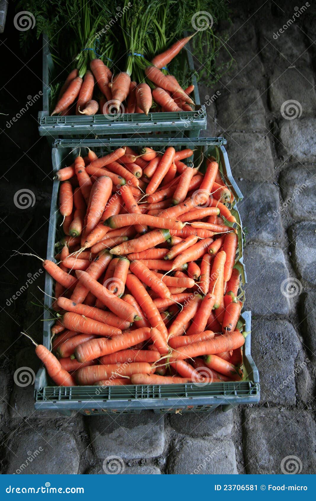 Crate of carrots stock image. Image of grey, small, focus - 23706581