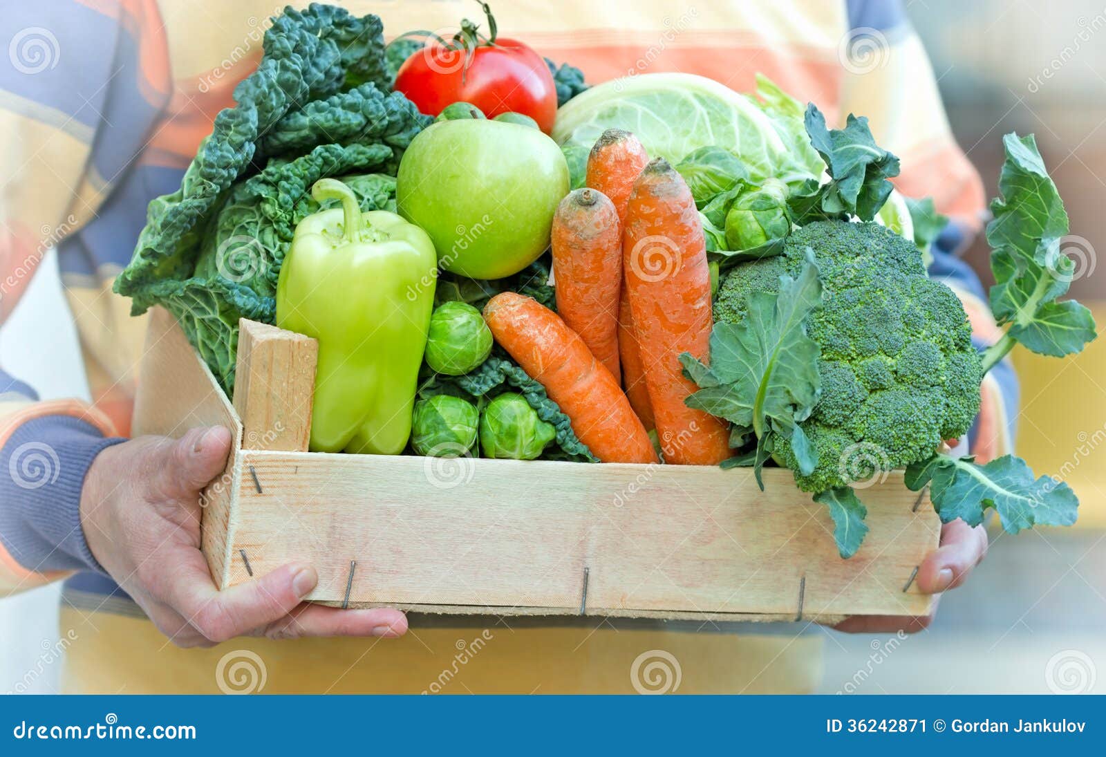 Crate Full of Fresh Organic Food Stock Image - Image of agriculture ...