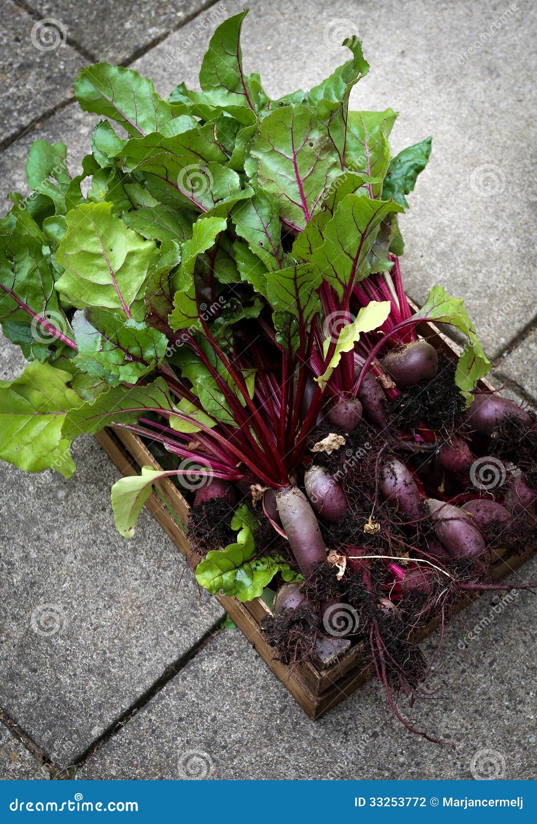 A Crate of Organic Grown Beetroot Stock Photo - Image of soil, mangel ...