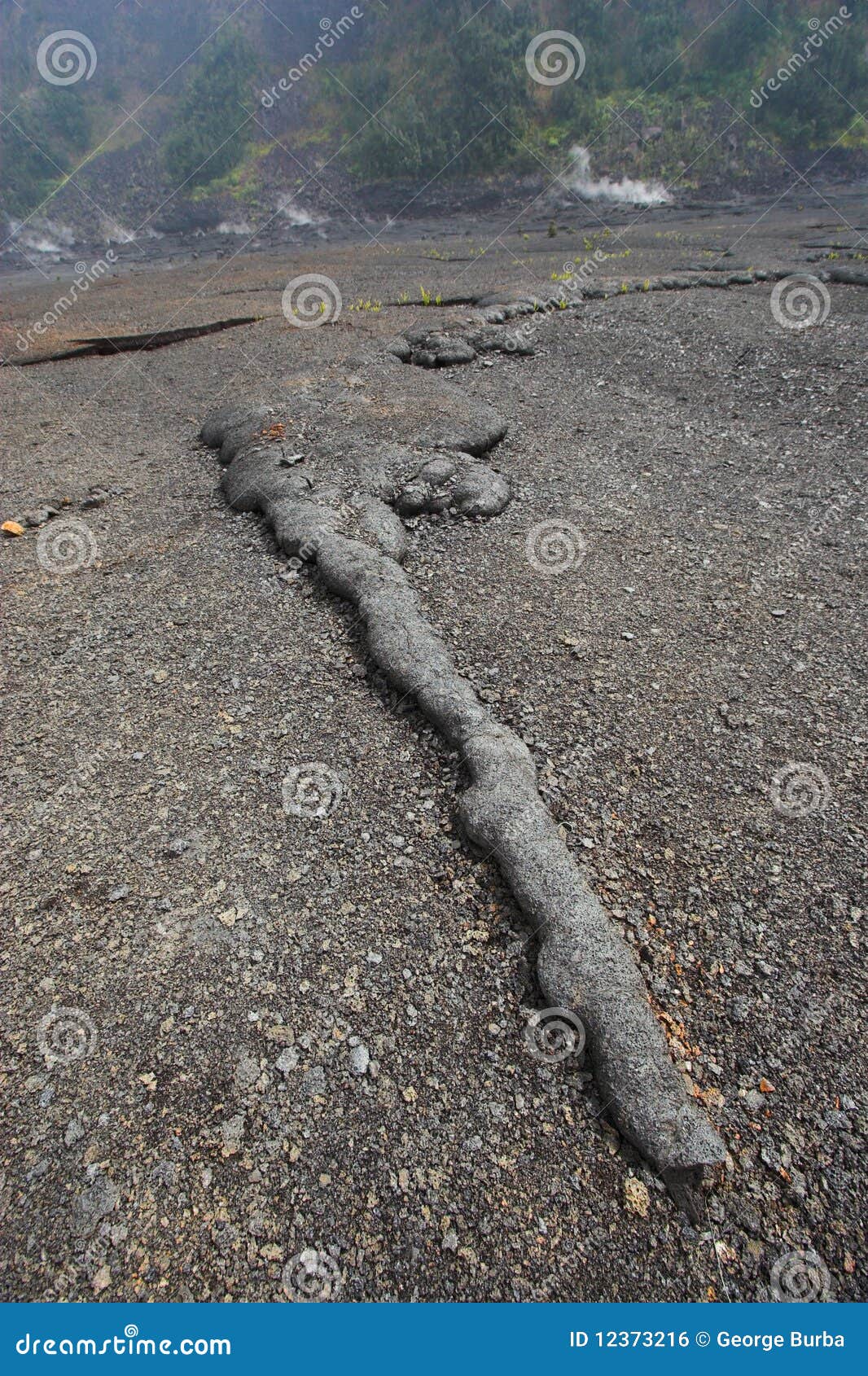 Crater bottom stock photo. Image of park, volcanic, kilauea - 12373216