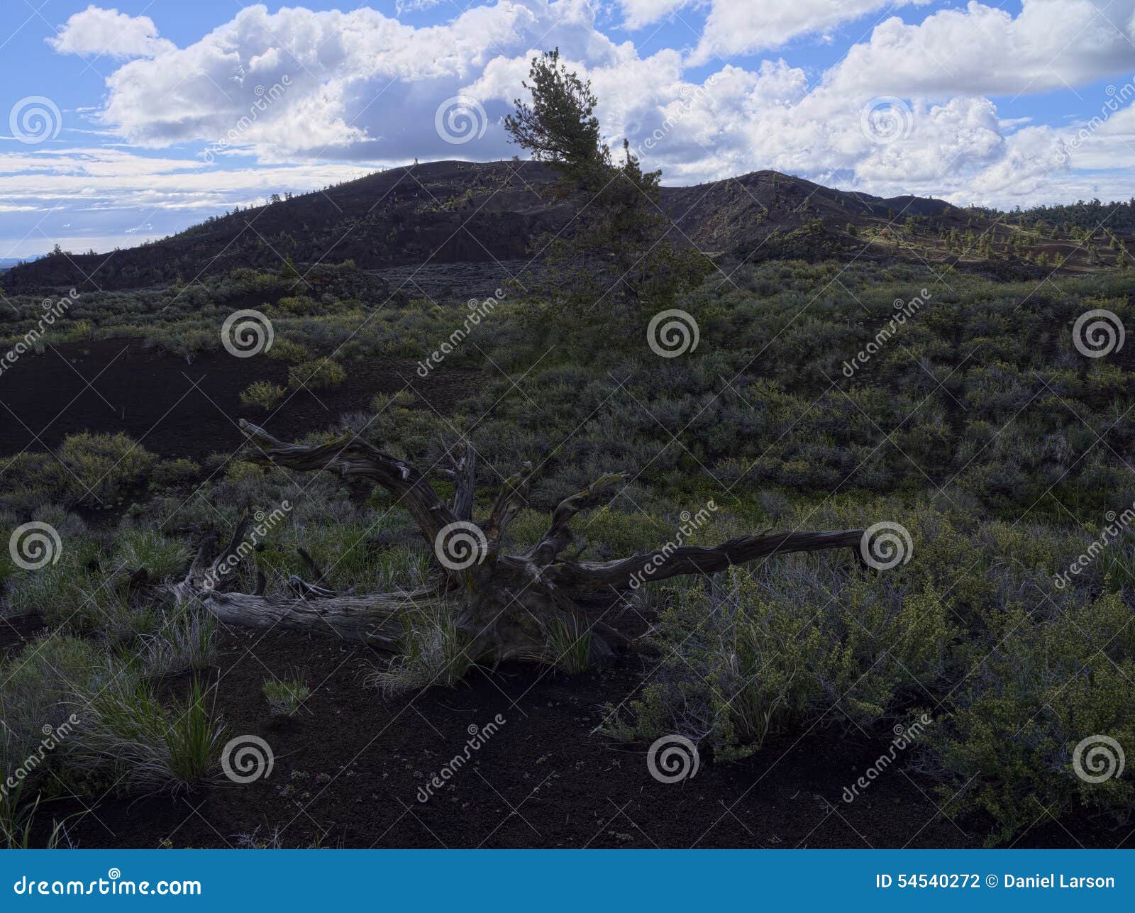 Crateras Do Monumento Nacional Da Lua Foto de Stock - Imagem de lava ...