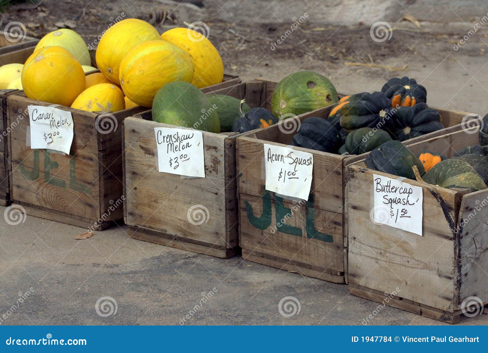 Crates of Squash and Melons Stock Photo - Image of market, seasonal ...