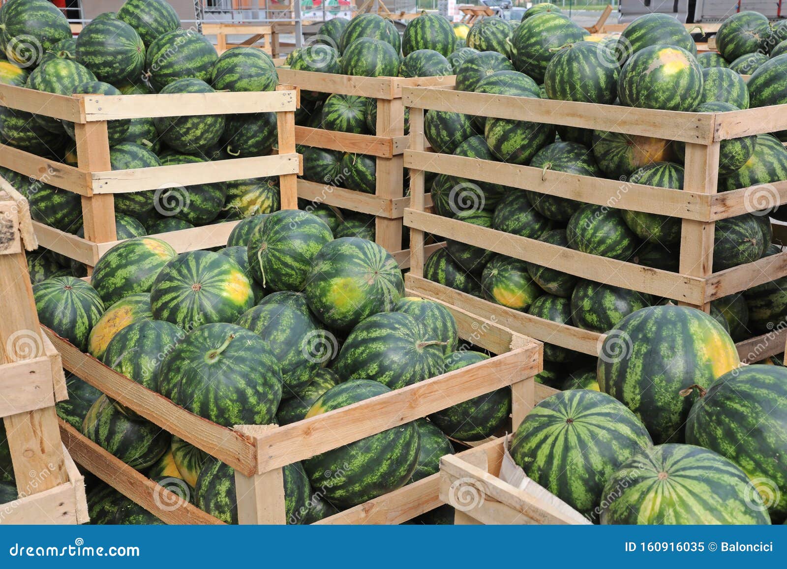 Crates with Watermelons stock image. Image of large - 160916035