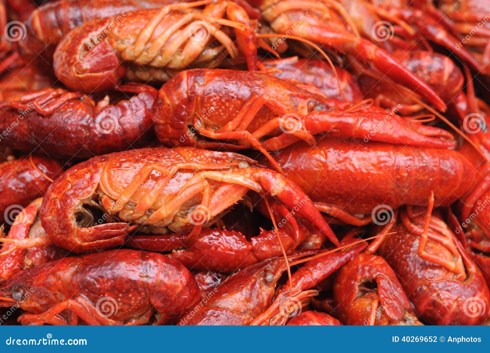 Craw fish stock photo. Image of orange, fish, cook, crustacean - 40269652