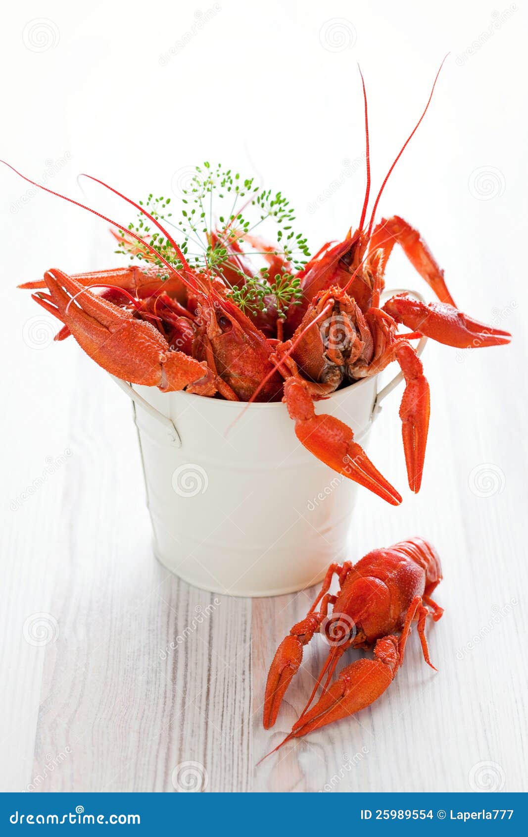 Crawfish stock photo. Image of bucket, shell, claw, prepared - 25989554