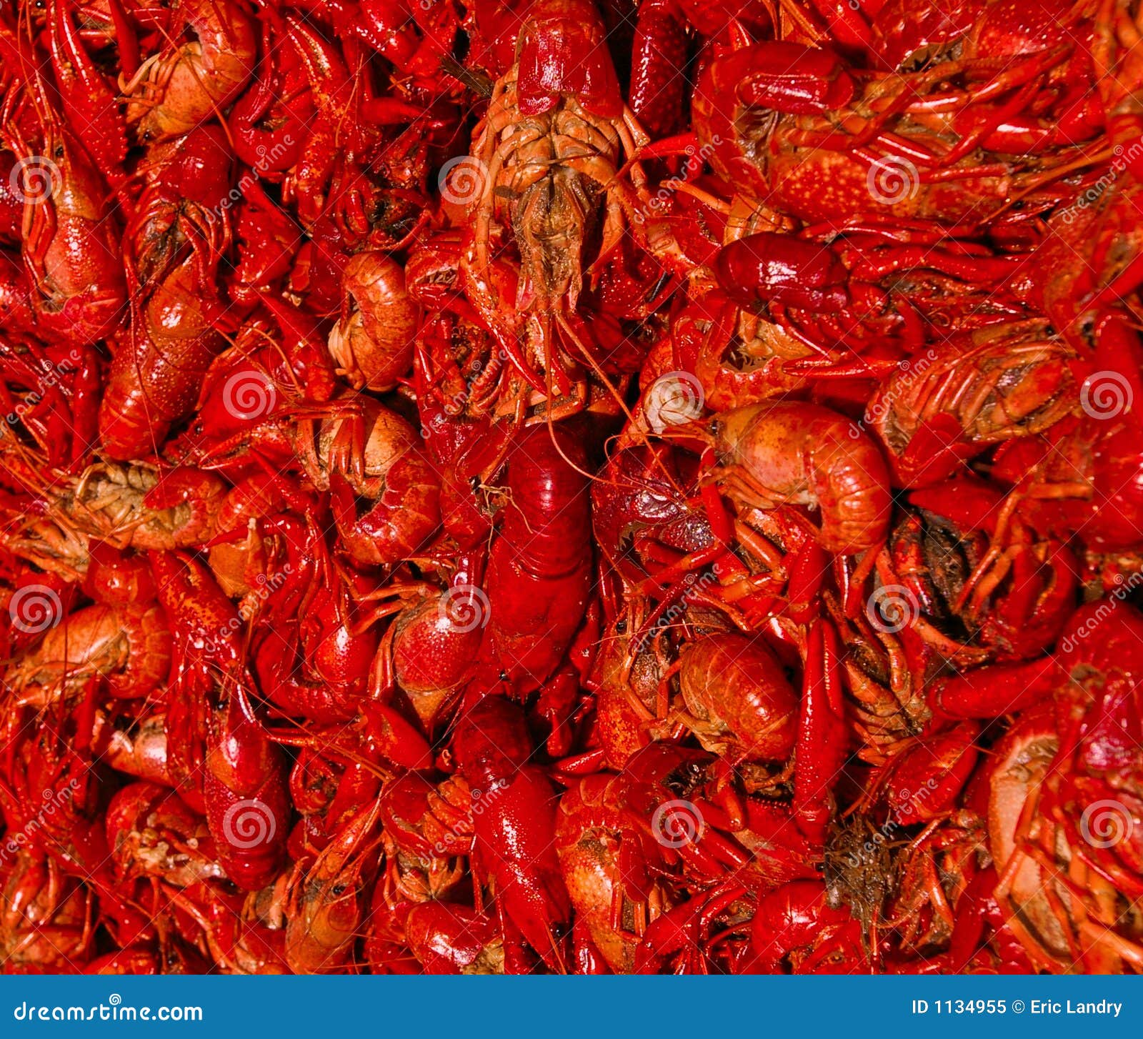 Crawfish Boil Royalty-Free Stock Photography | CartoonDealer.com #73988309