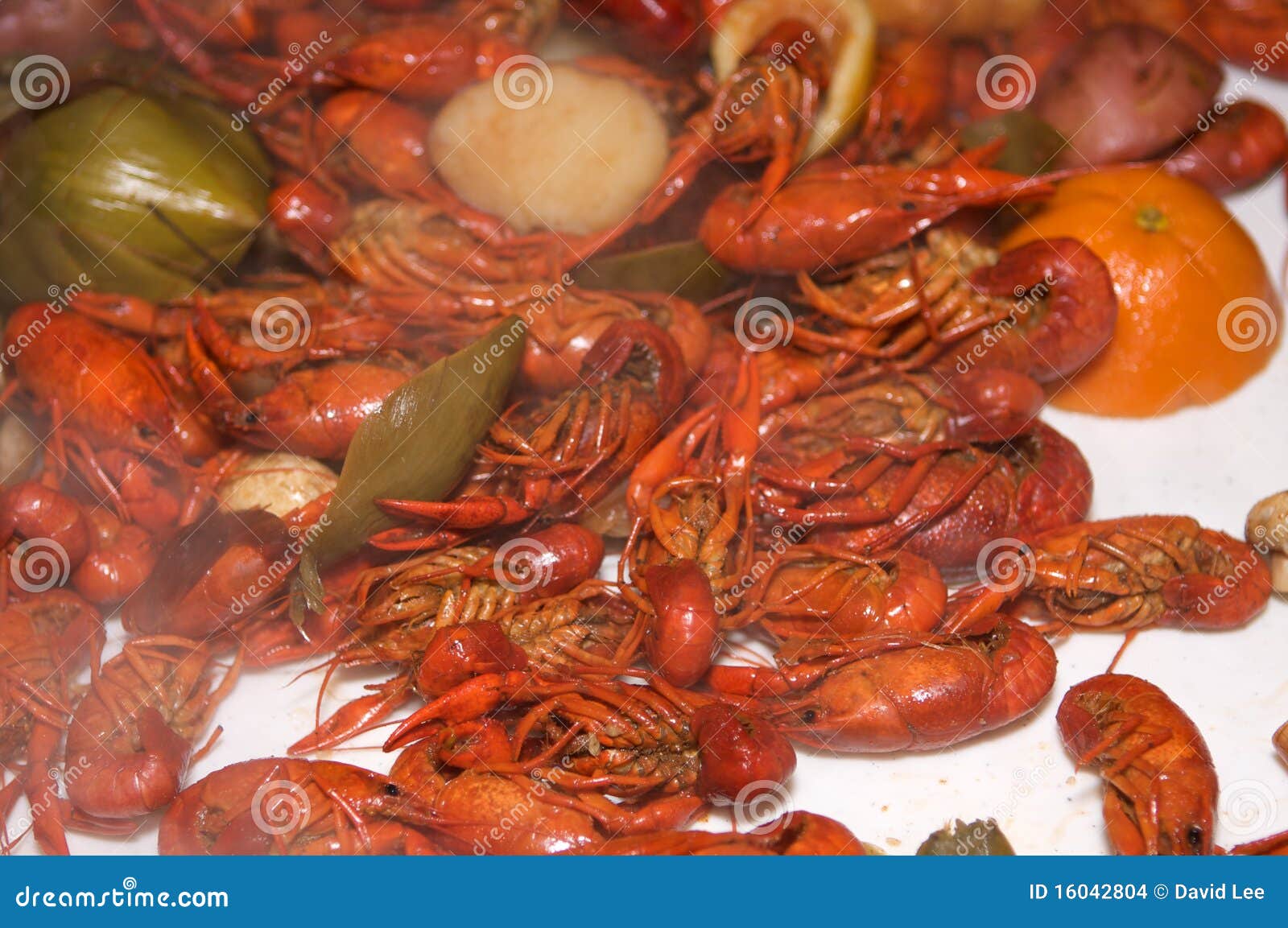 Crawfish Boil stock photo. Image of louisiana, cookout - 16042804