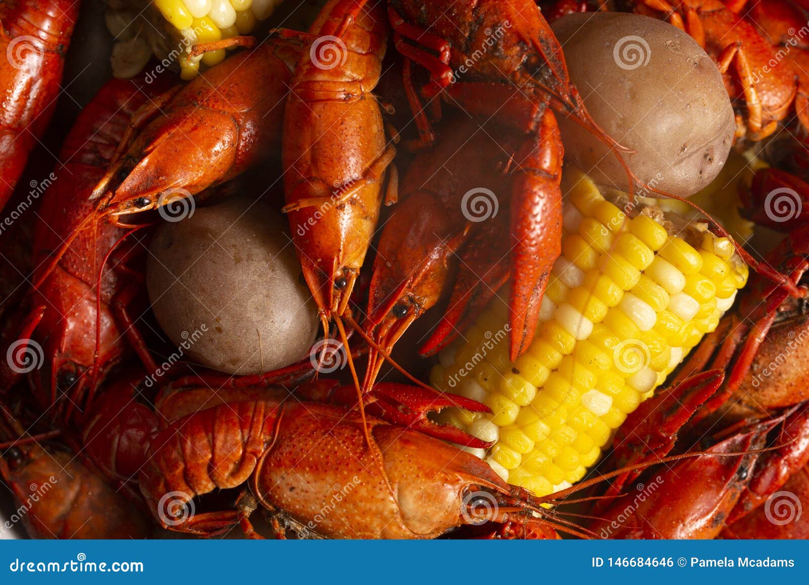 A Crawfish Boil with Corn on the Cob and Potatoes Stock Photo - Image ...