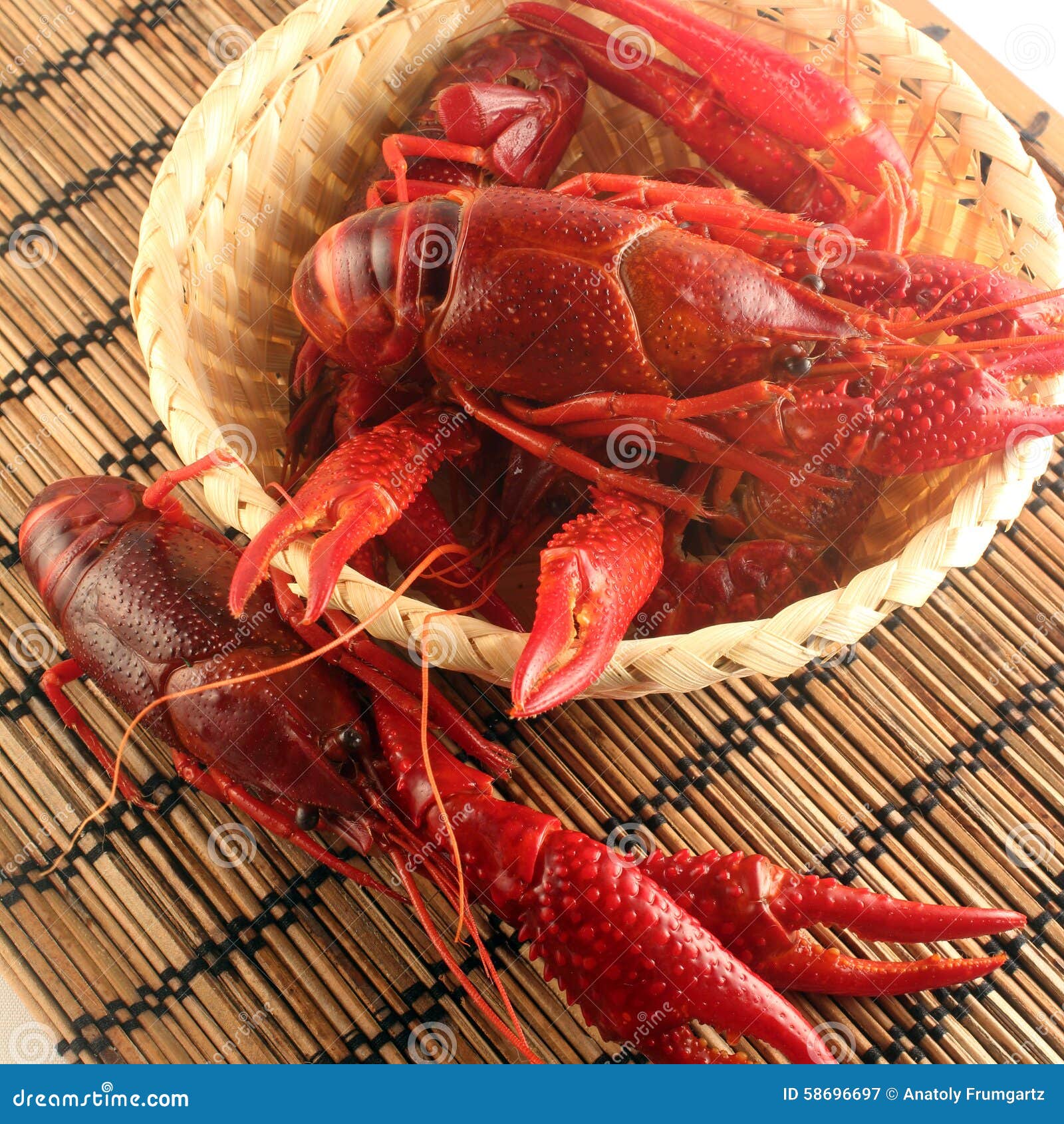 Crawfish stock image. Image of three, crawfish, fish - 58696697