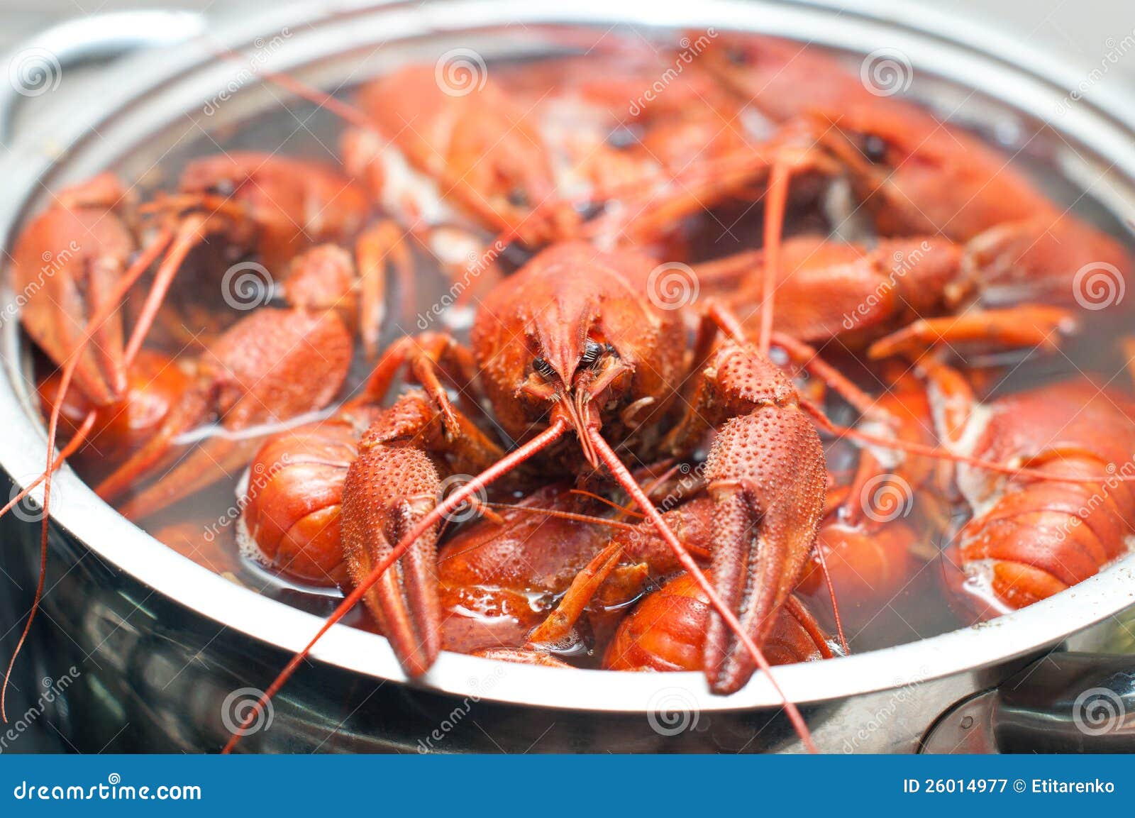 Crawfish Boiling in a Large Pot Stock Image - Image of cajun, orleans ...