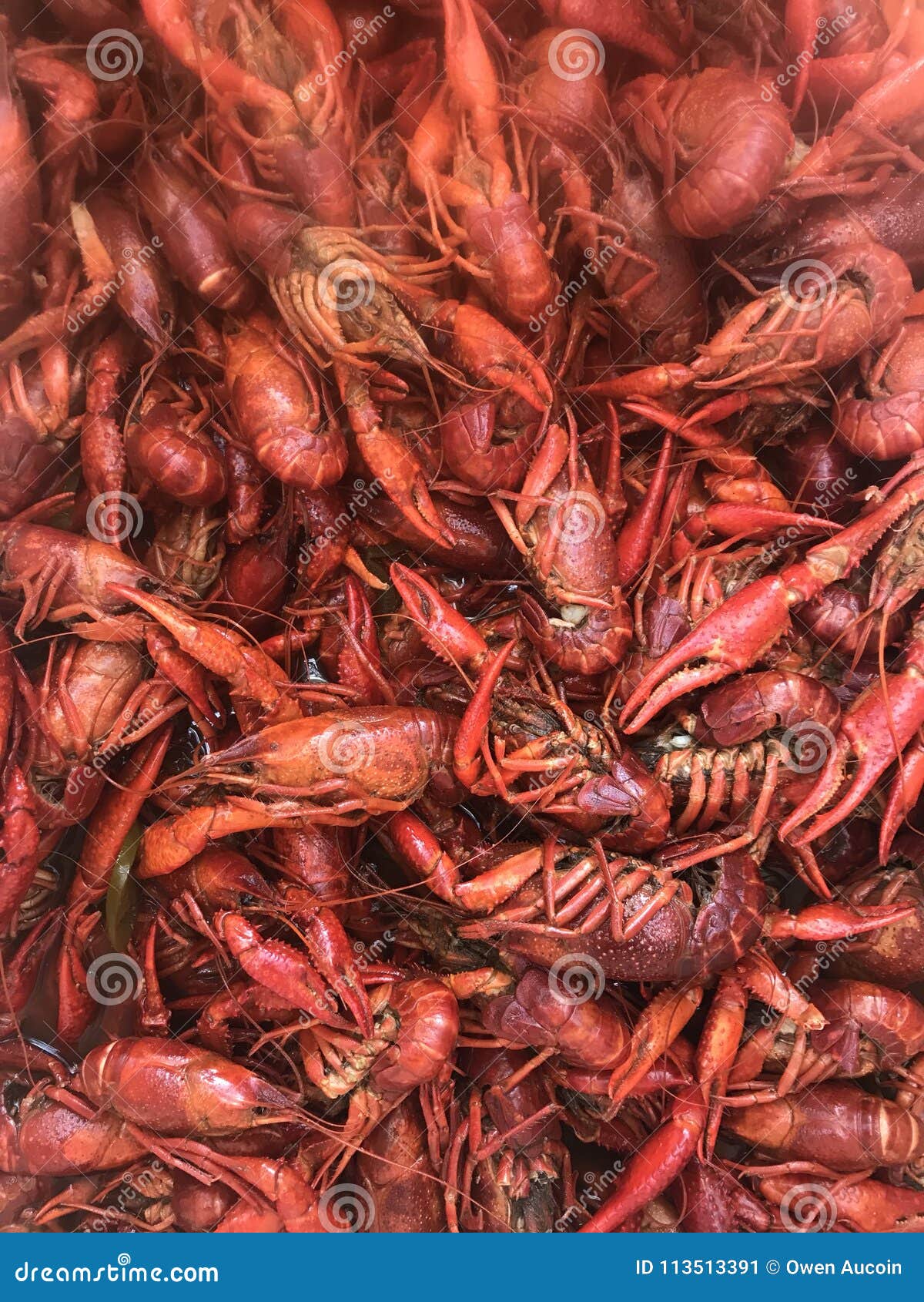 Crawfish in a boiling pot stock image. Image of crawfish - 113513391