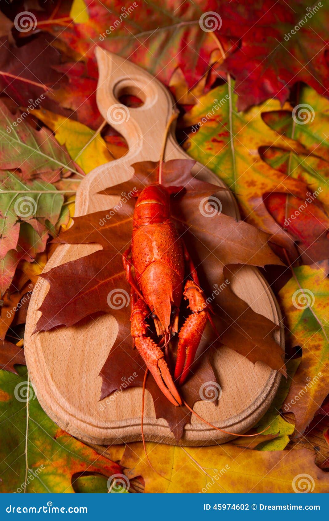 Crawfish stock photo. Image of crawfish, gourmet, color - 45974602