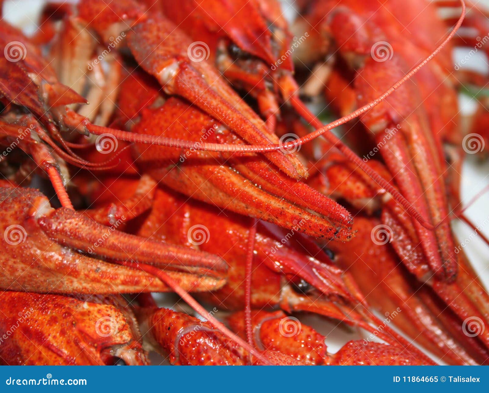 Crawfish close-up stock image. Image of delicious, lobster - 11864665