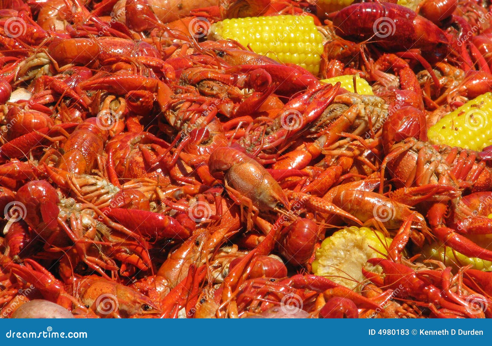 Crawfish and Corn Spreadout Stock Image - Image of sausage, shell: 4980183