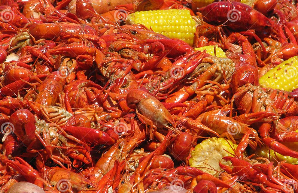 Crawfish and Corn Spreadout Stock Image - Image of sausage, shell: 4980183