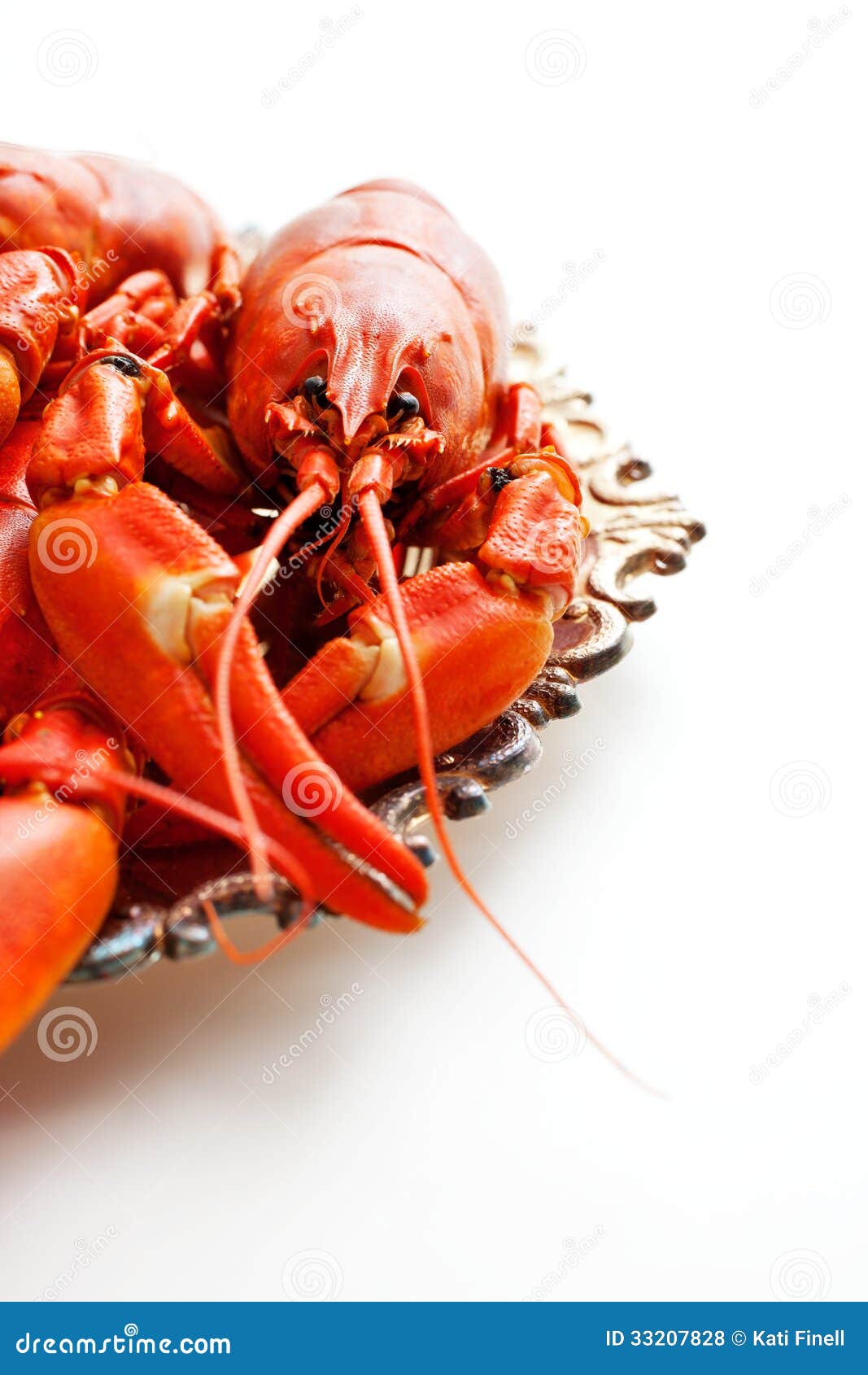 Crawfish stock photo. Image of dinner, isolated, meal - 33207828