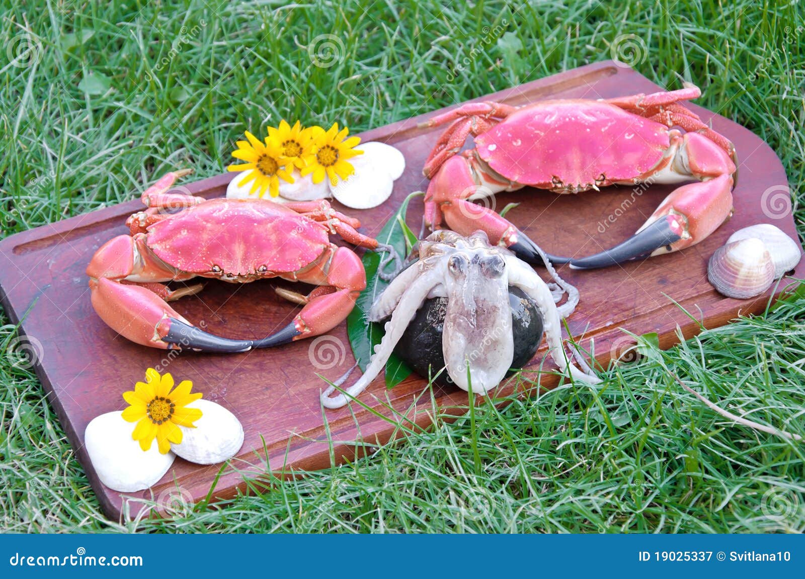 Crawfish on Green Grass with Squid Stock Image - Image of octopus ...