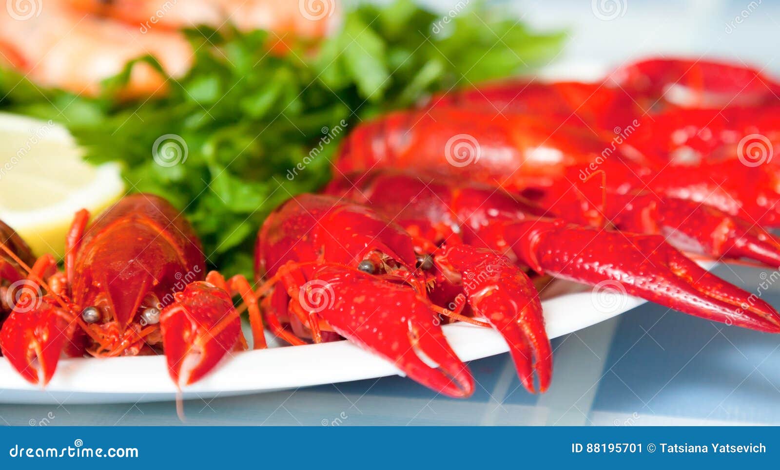 Crawfish On A Plate Royalty-Free Stock Image | CartoonDealer.com #27382444