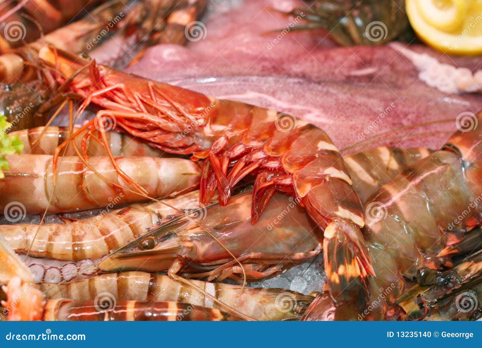 Crawfish raw stock photo. Image of fresh, invertebrate - 13235140