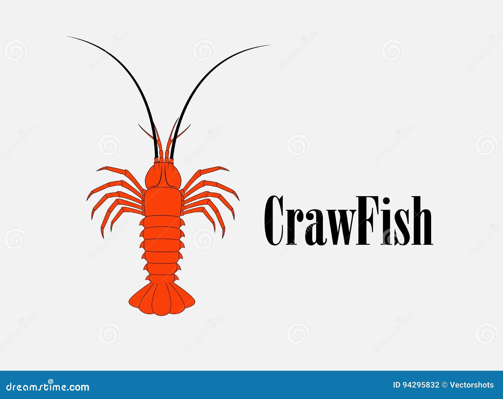 Crawfish Vector Illustration Stock Vector - Illustration of lunch ...