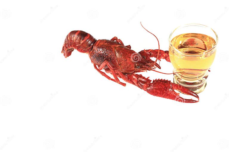 Crawfish and vodka stock image. Image of flame, drug - 15702003