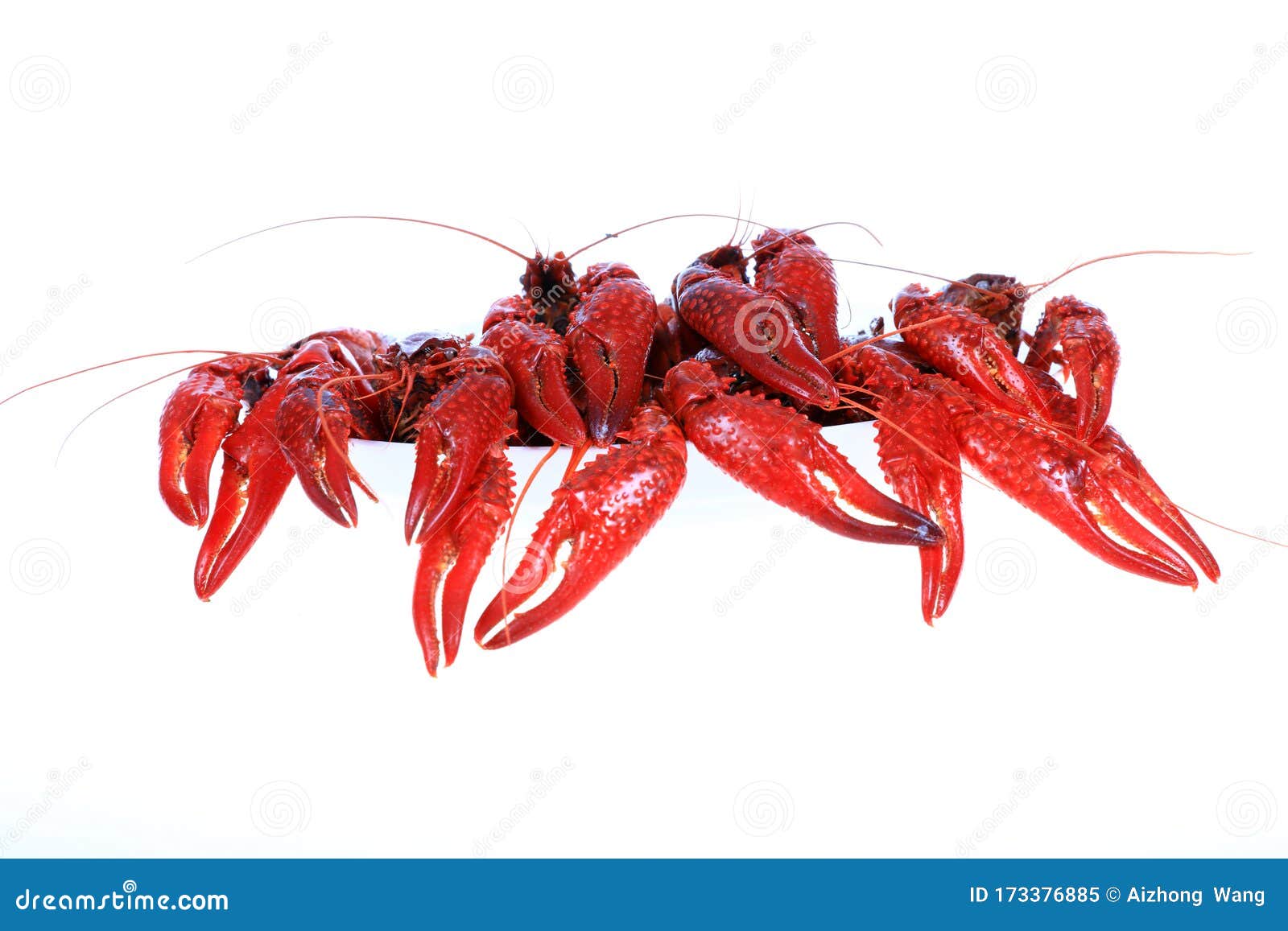 Crawfish stock image. Image of brown, cooking, crustacean - 173376885