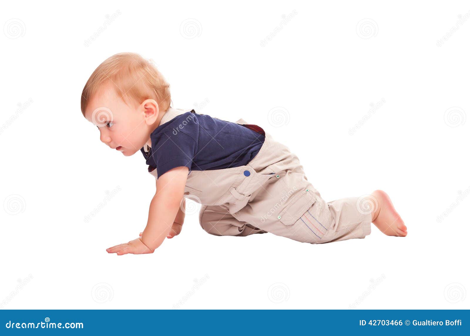 Crawl fotografia stock. Immagine di movimento, infante - 42703466