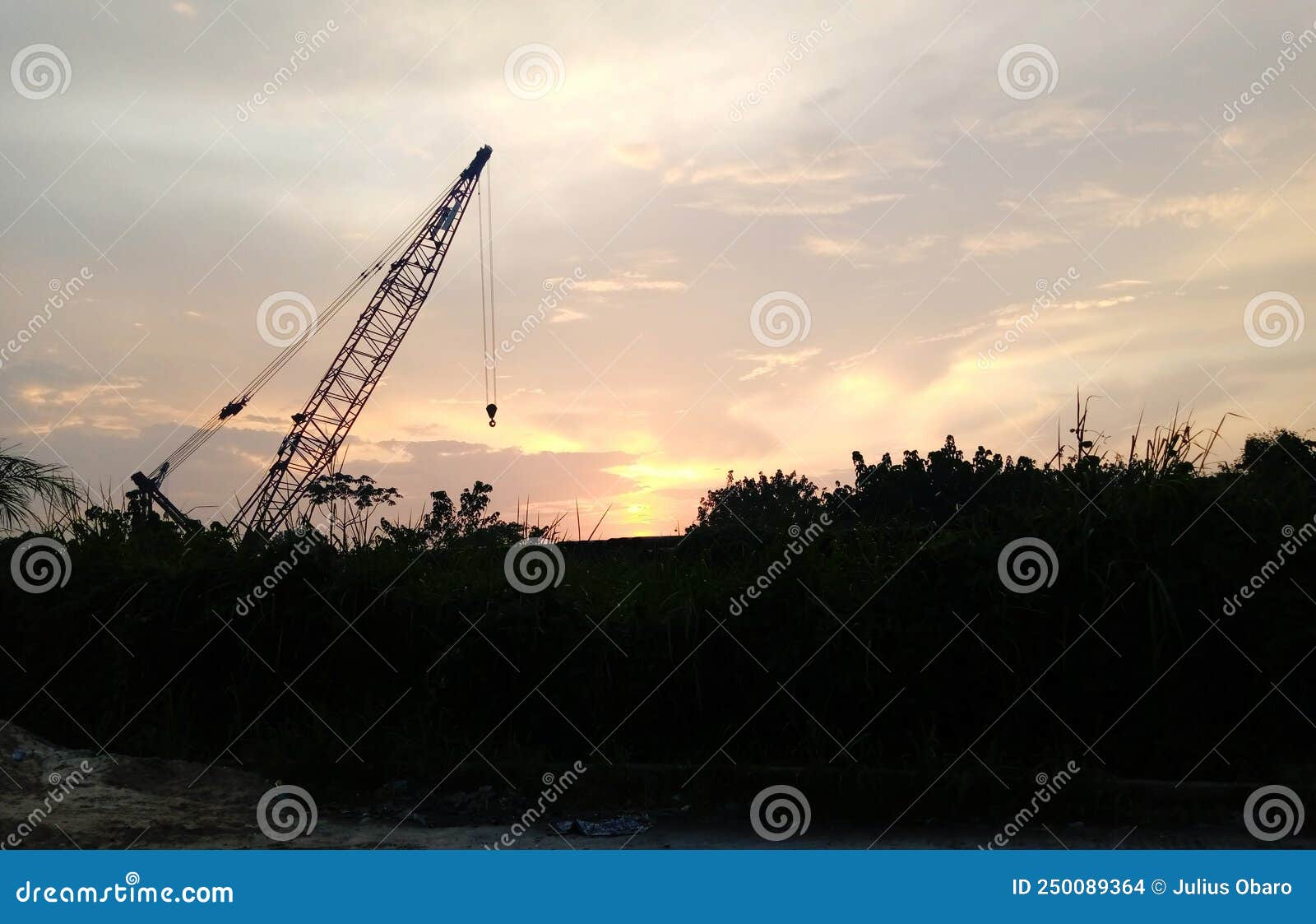 Crawler Crane at sunset stock photo. Image of tree, evening - 250089364