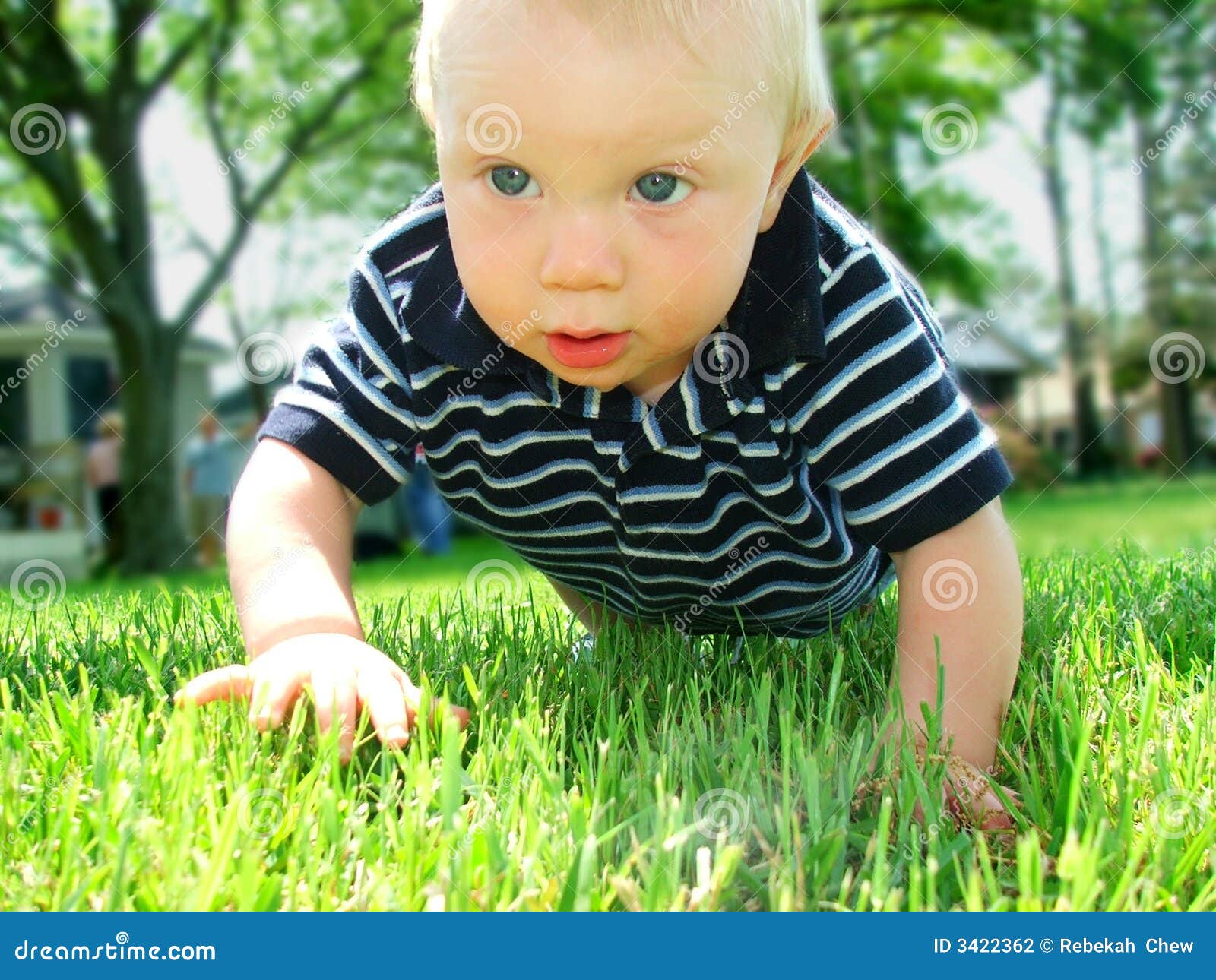 Crawling Baby Boy stock photo. Image of blond, baby, eyes - 3422362