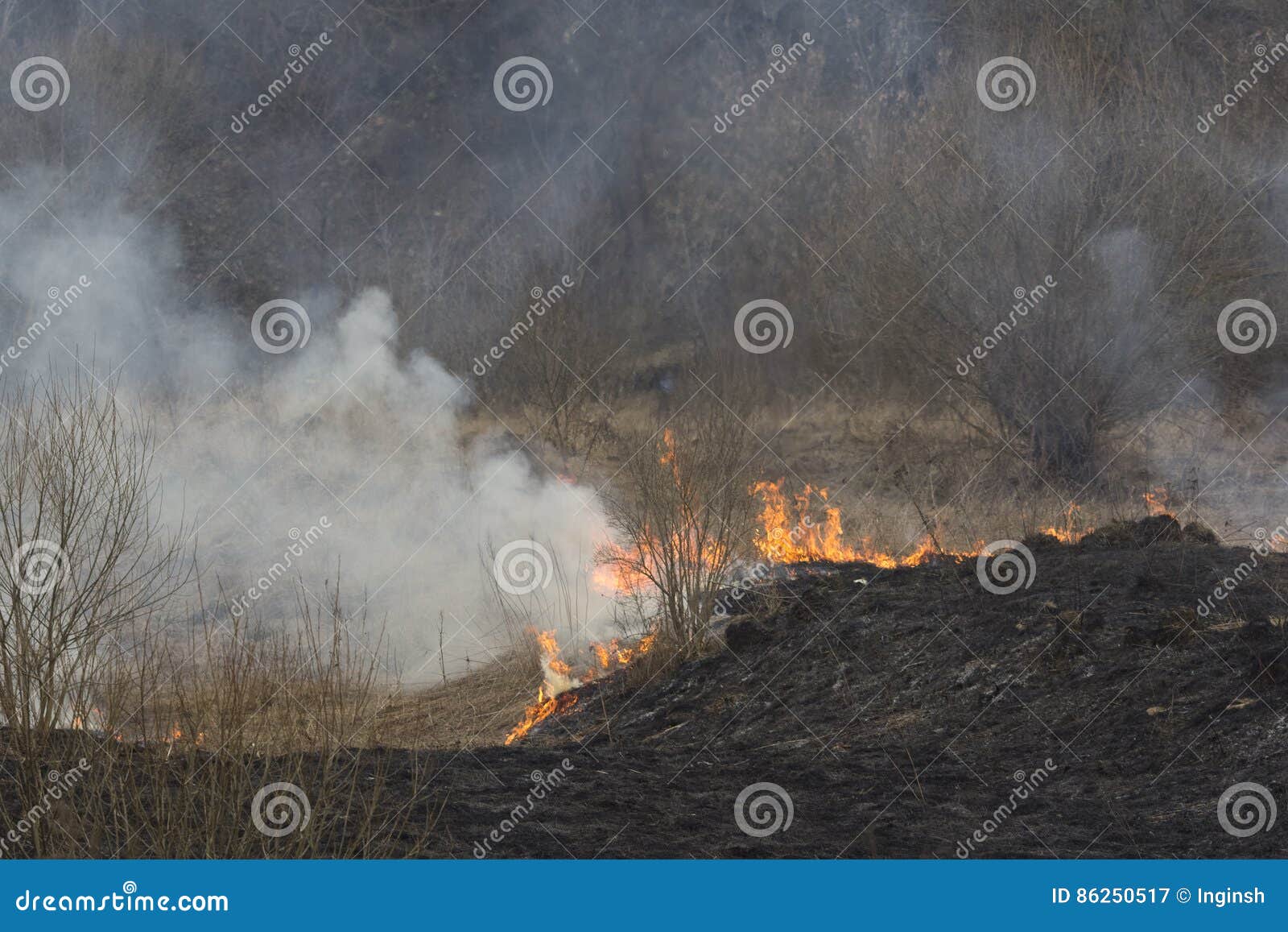 Crawling Fire Of Burning Grass Royalty-Free Stock Photography ...