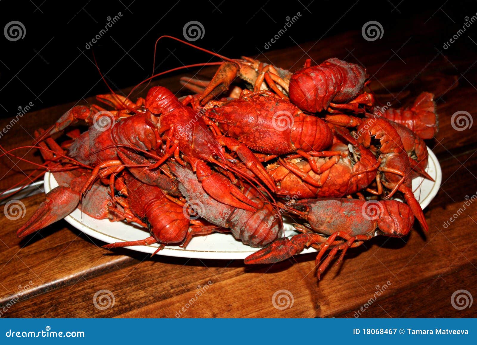 Crayfish stock image. Image of table, river, whiskers - 18068467