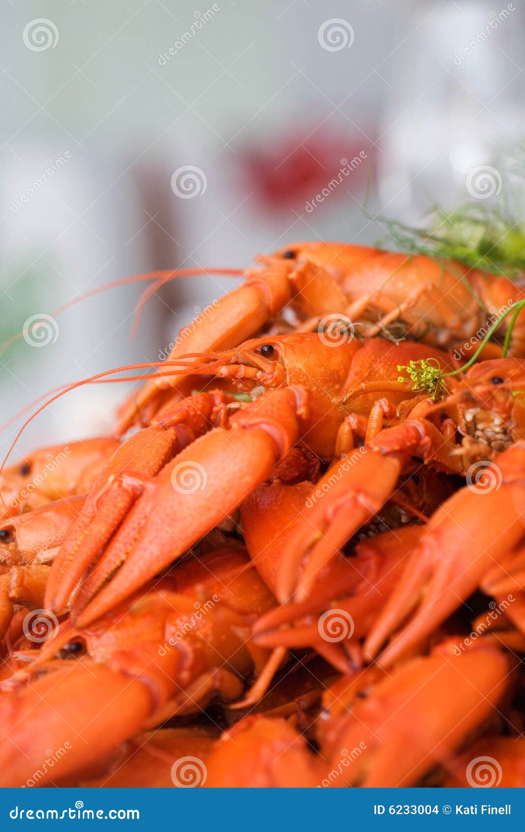 Crayfish stock photo. Image of food, shellfish, crayfish - 6233004