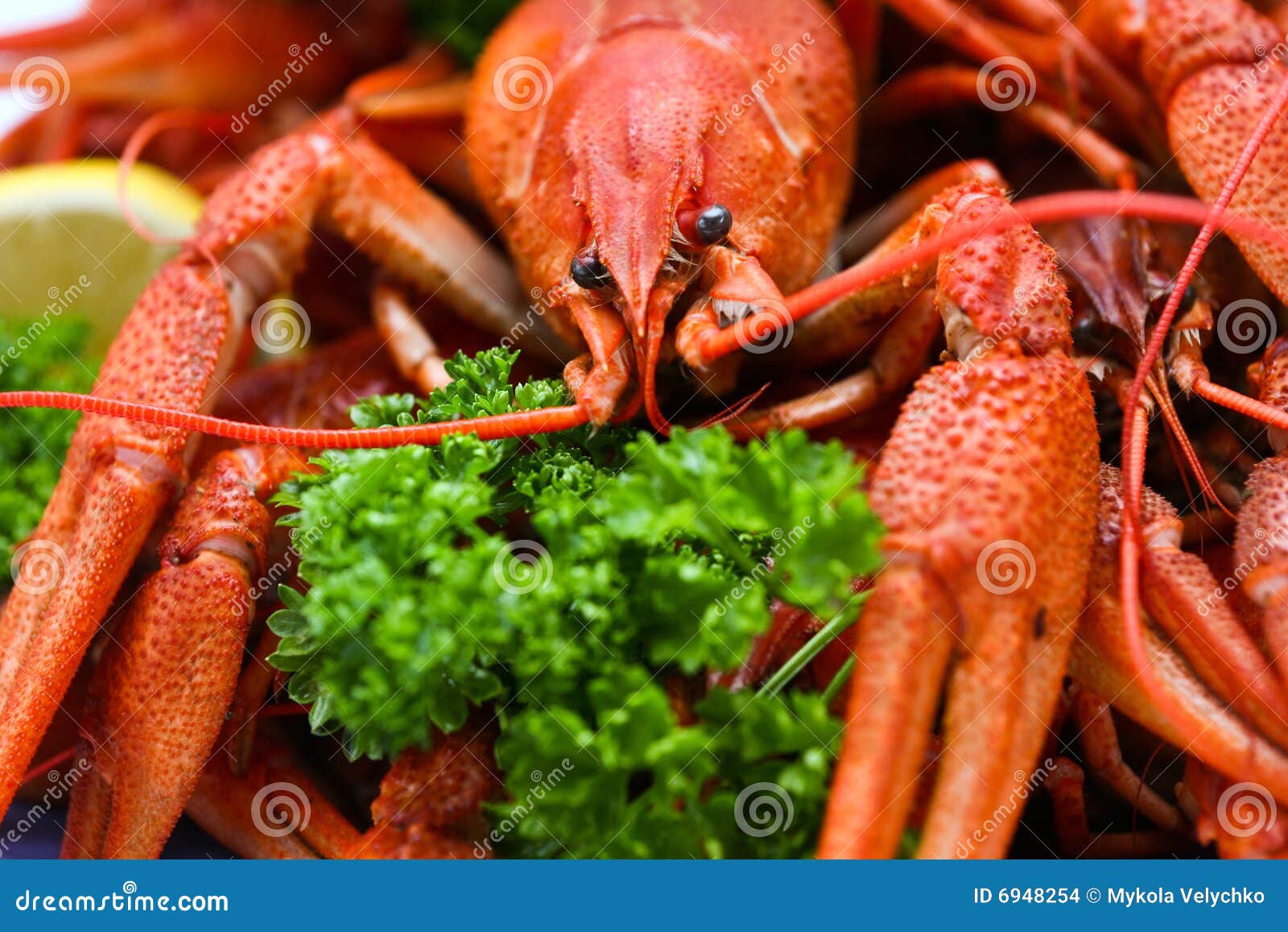 Crayfish stock photo. Image of gourmet, lobster, prepared - 6948254