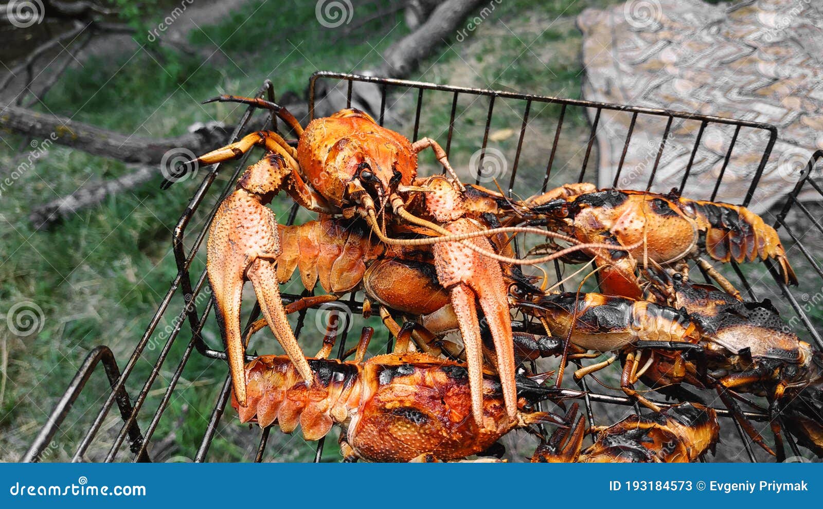 Crayfish BBQ Grill Steaming Stock Image - Image of shrimp, restaurant ...