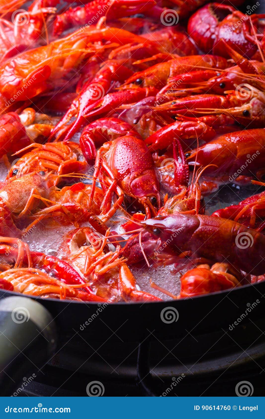 Crayfish. stock photo. Image of sweden, claw, seafood - 90614760
